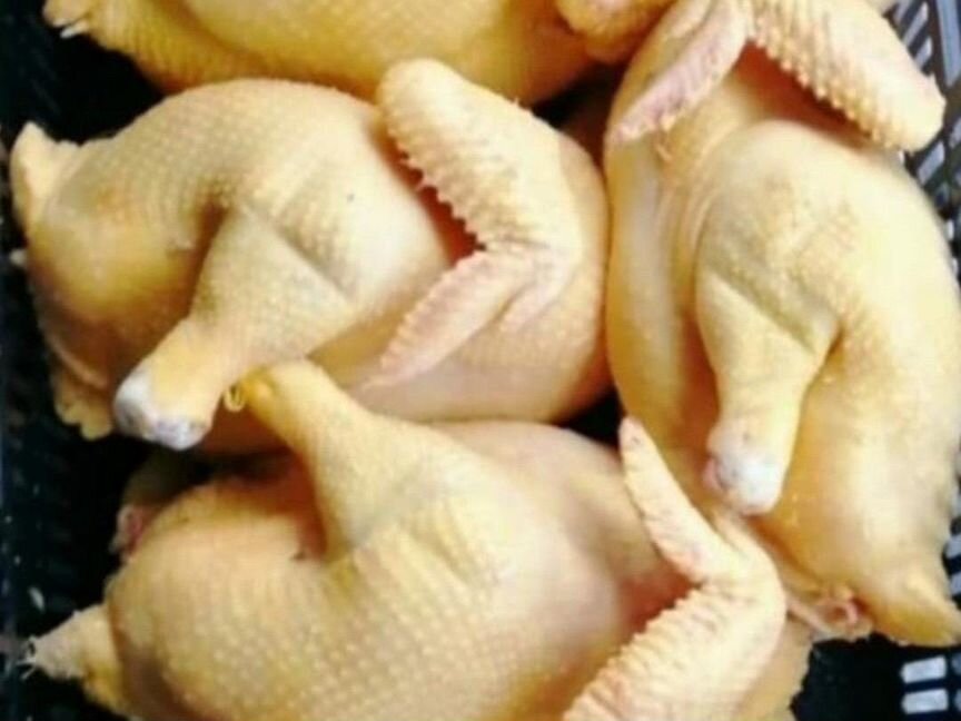 Продаю мясо птицы