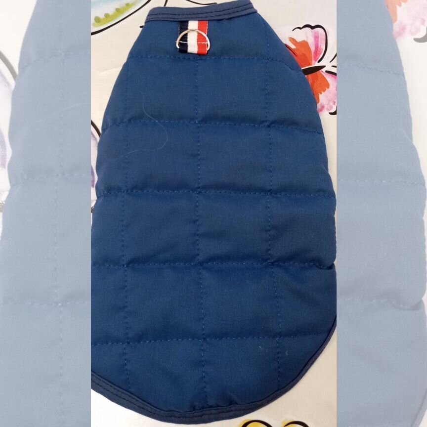 Одежда для животных