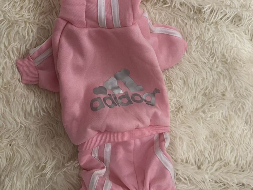 Одежда для маленьких собак