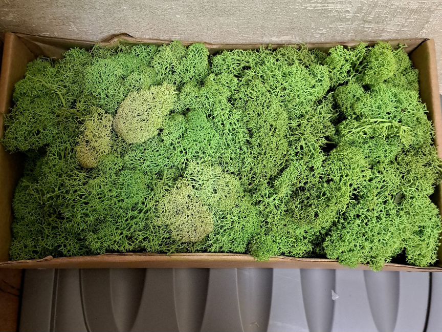 Искусственный лешайник для террариума