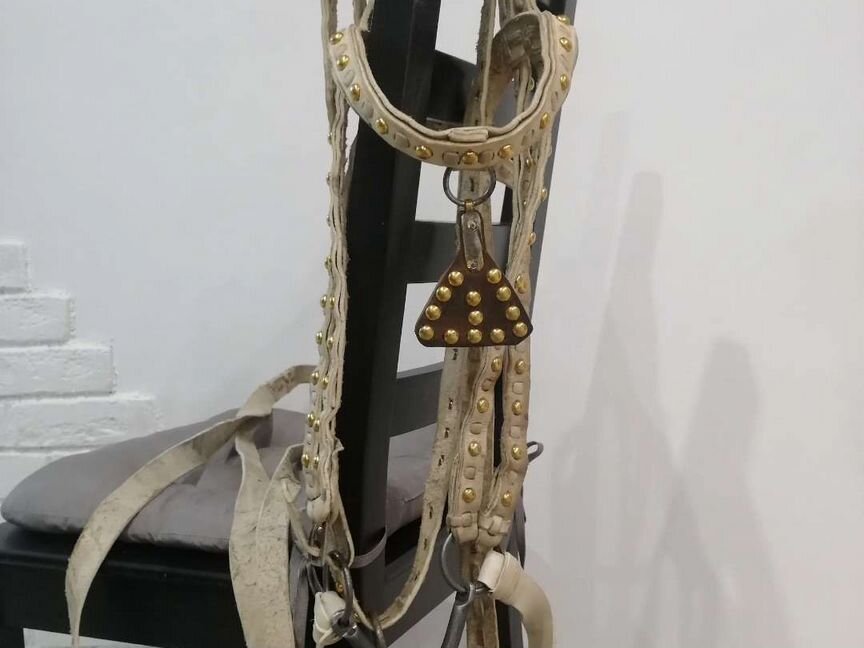 Узда для лошади