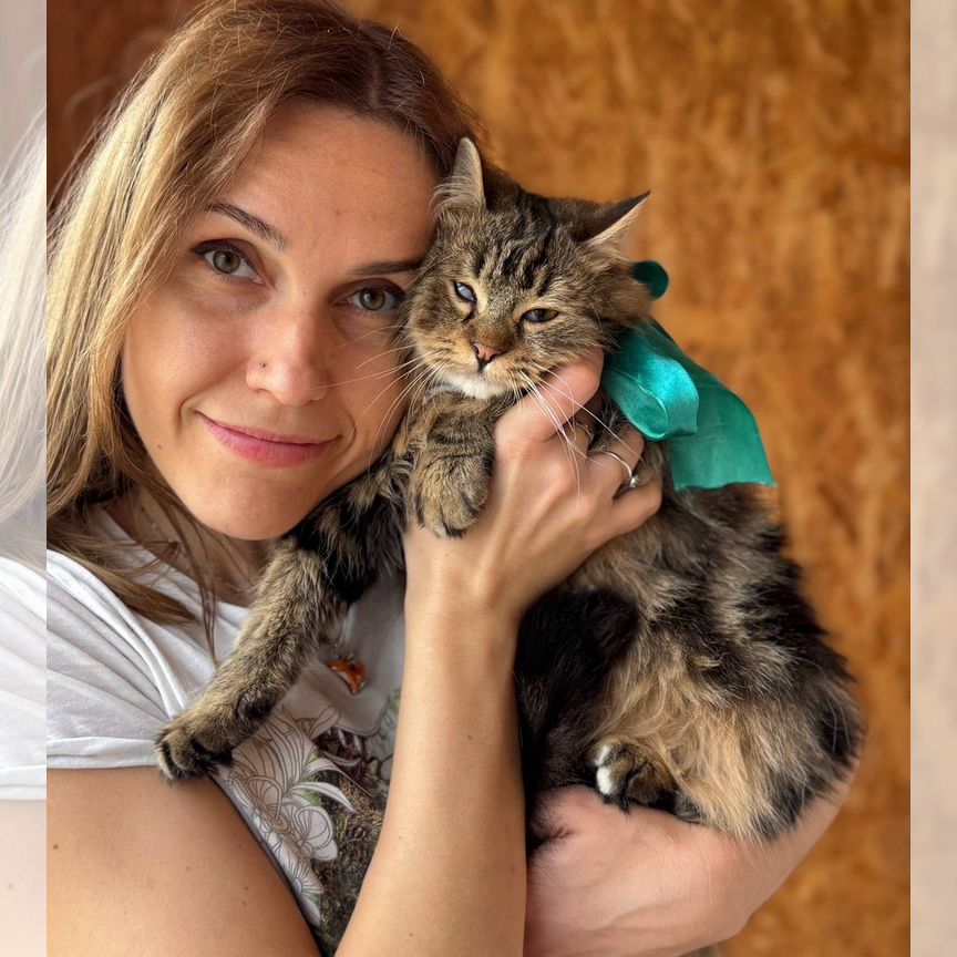 Взрослая, кошка в добрые руки