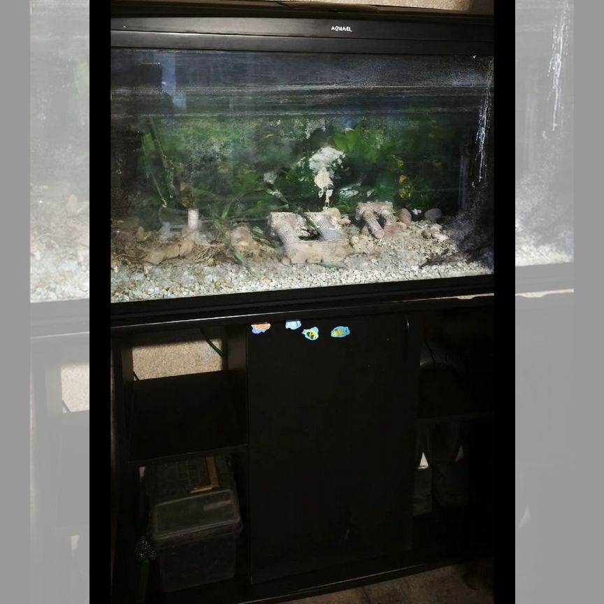 Аквариум Aquael Classic PAP 100, 200 л