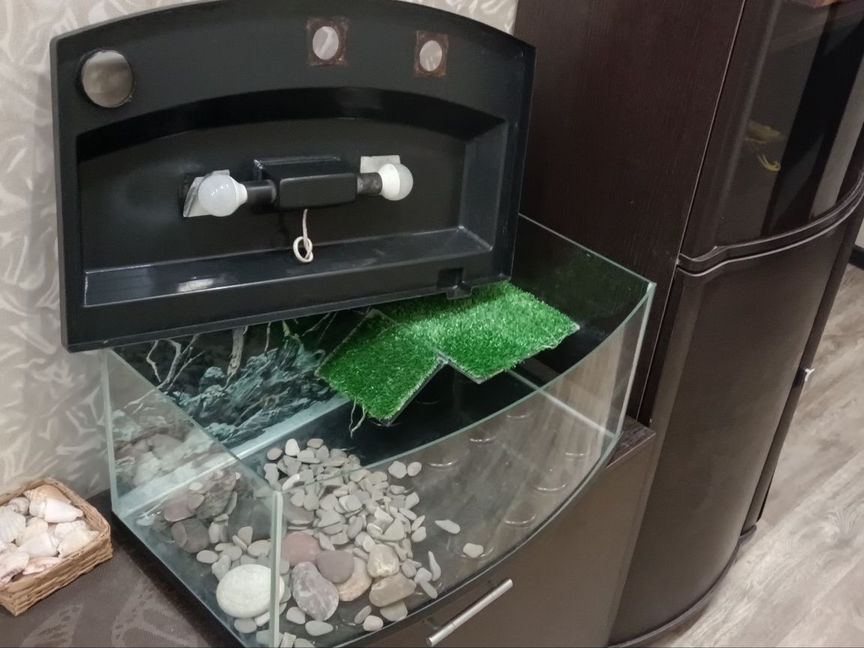 Аквариум для красноухой черепахи