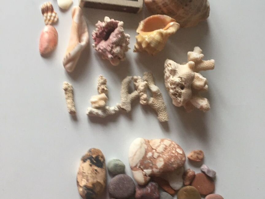 Ракушки, кораллы, камешки