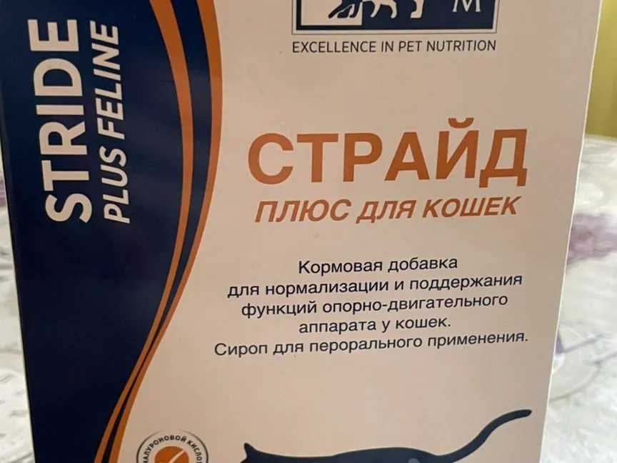 Корм для кошек страйд