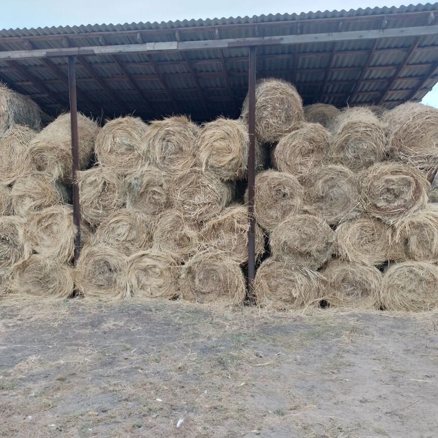 Продам сено в рулонах