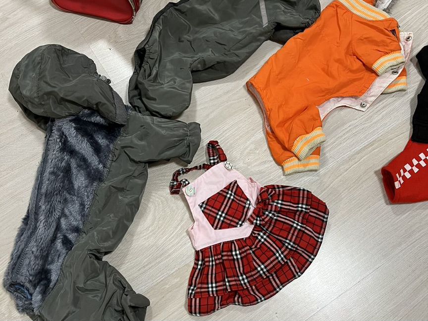 Вещи для мелких собак