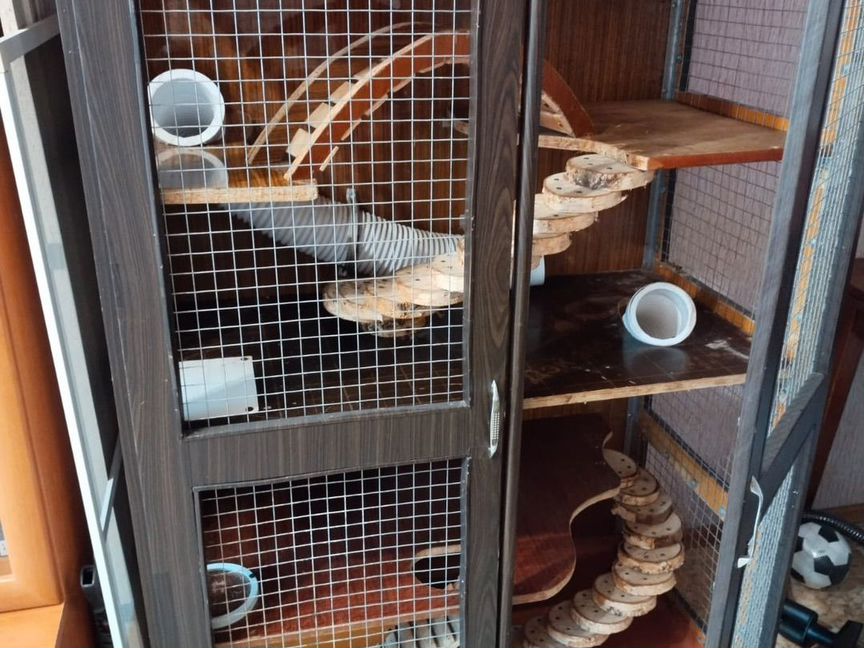 Клетка для животных большая