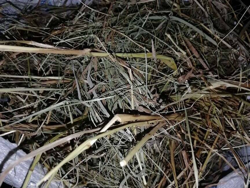 Сено в мешках