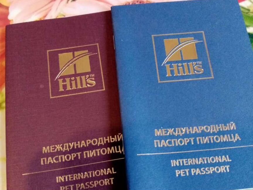 Ветеринарный паспорт для собак и кошек