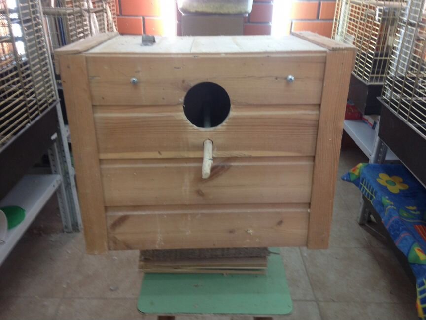 Гнездо - дуплянка для попугаев