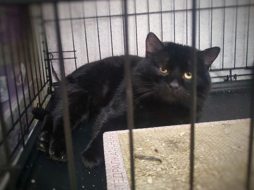 Боря добрым людям