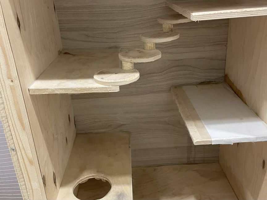 Витрина для шиншилл