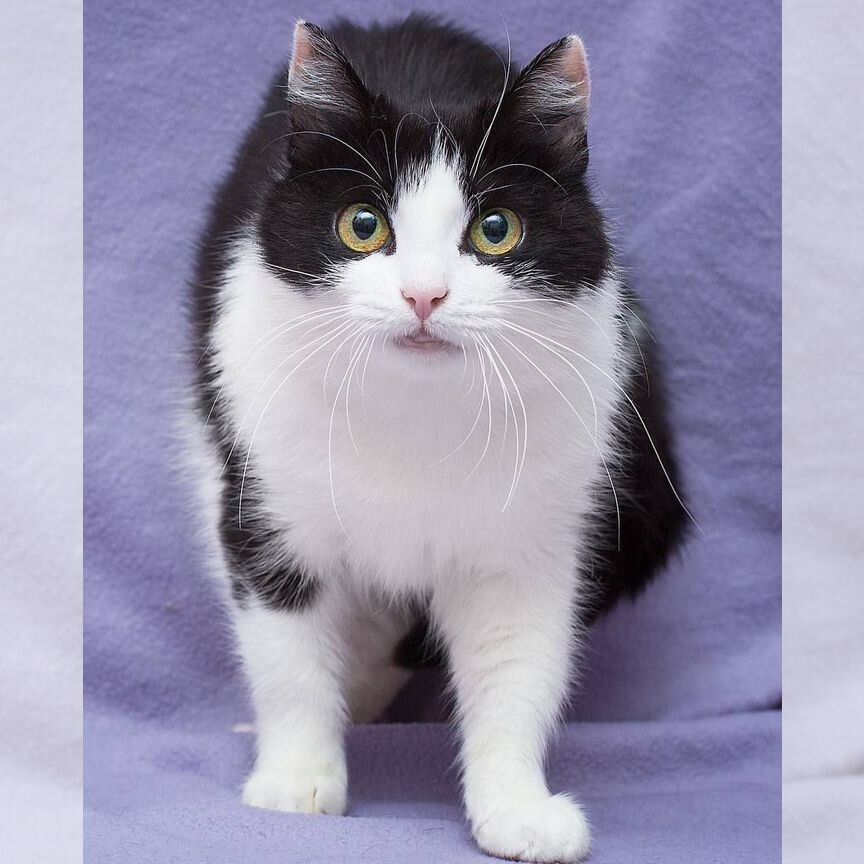 Нежная Кенда в поисках семьи