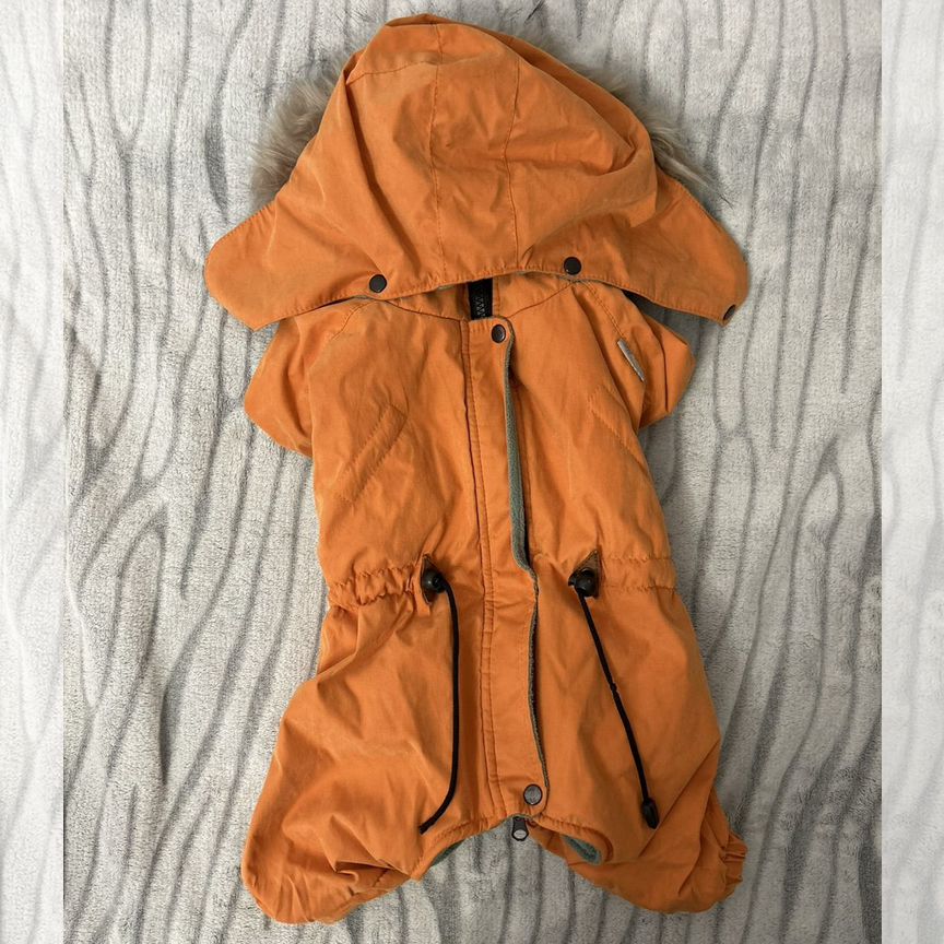 Одежда для собак