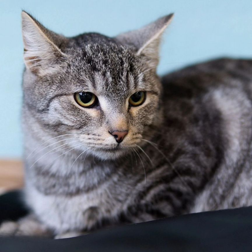 Гарри ищет дом