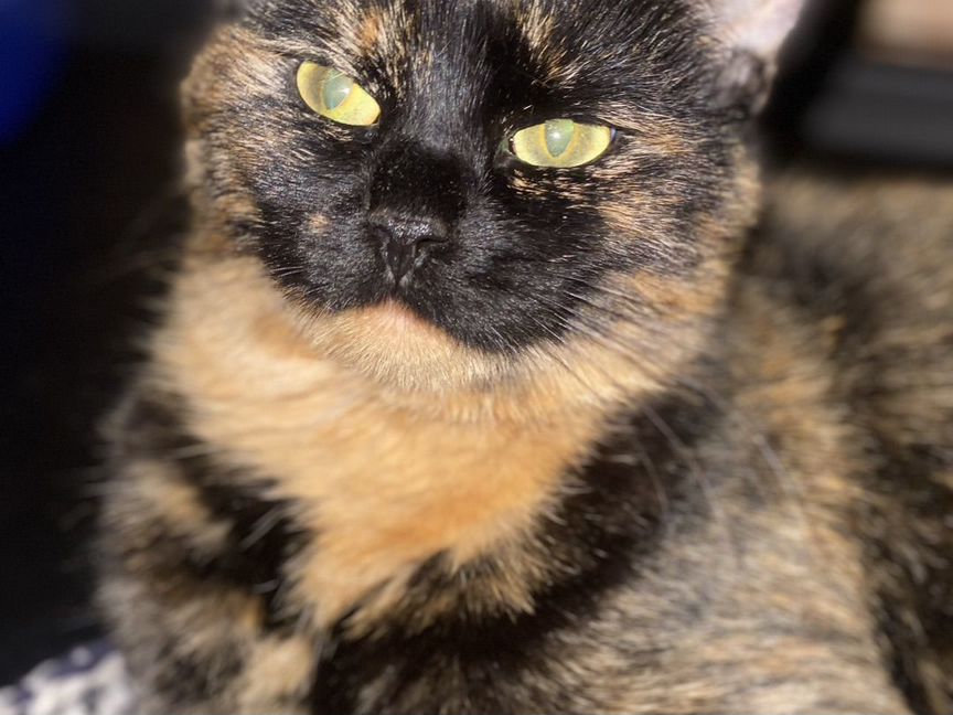 В ответственные руки