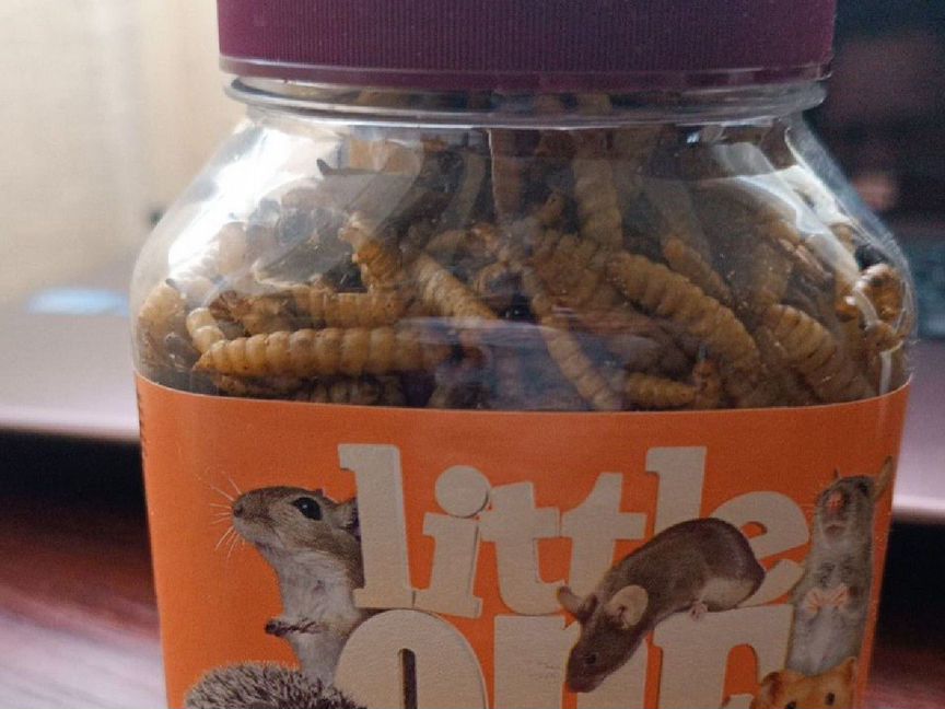 Корм для хомяков, крыс, мышей, песчанок и ежей