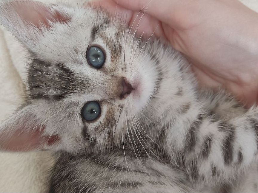 Малышка 2 мес