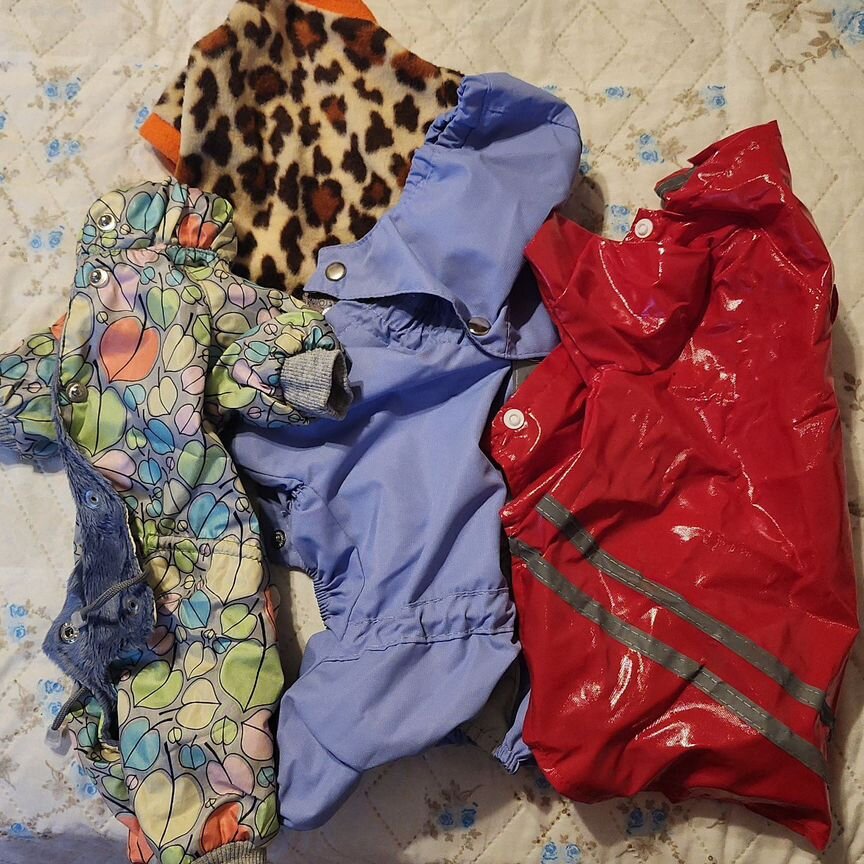 Вещи для собаки пакетом