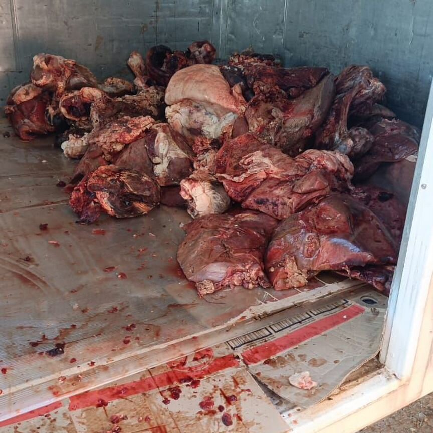 Продам мясо на корм животным