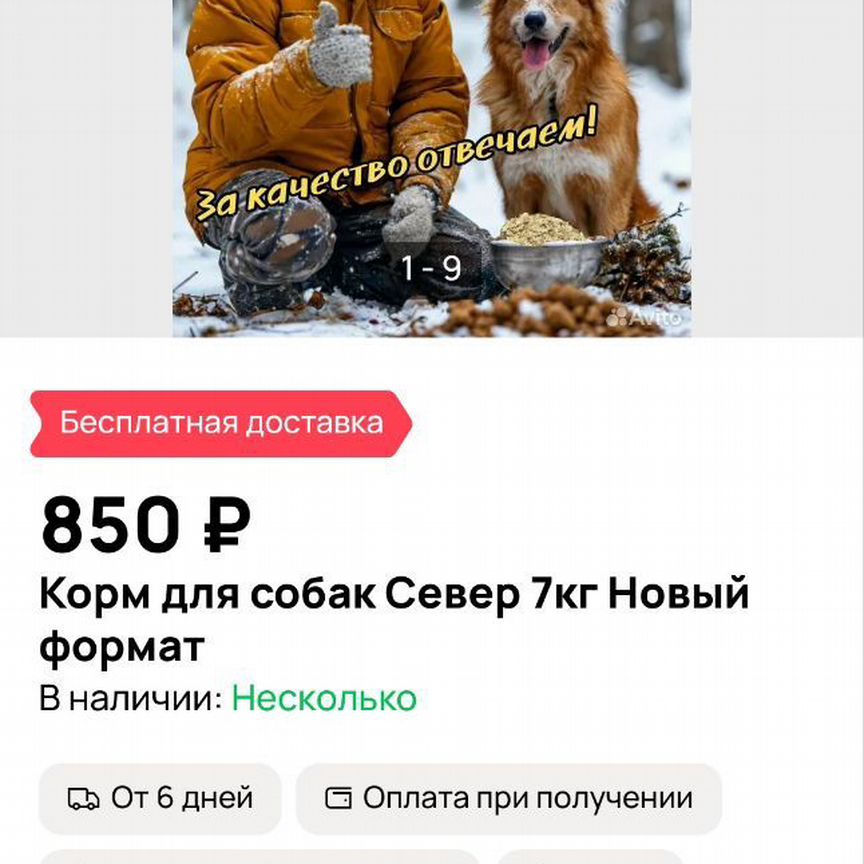 Корм для собак