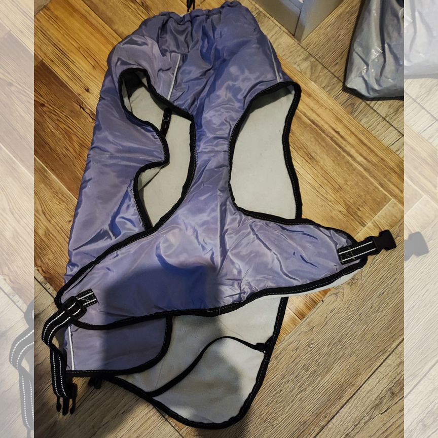 Амуниция для собак