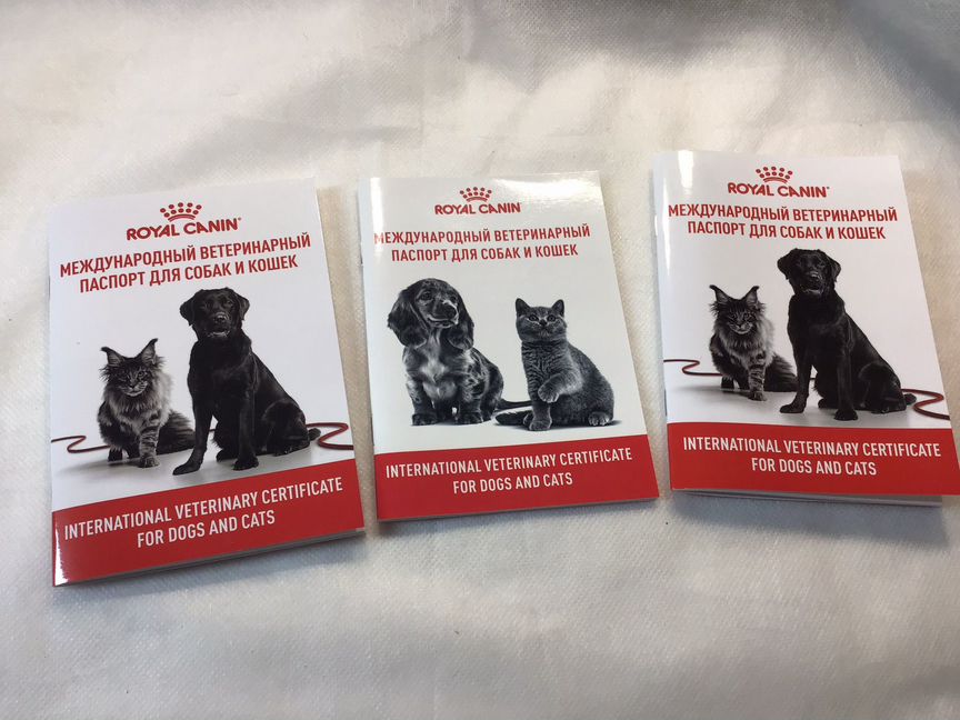 Ветеринарные паспорта для собак и для кошек
