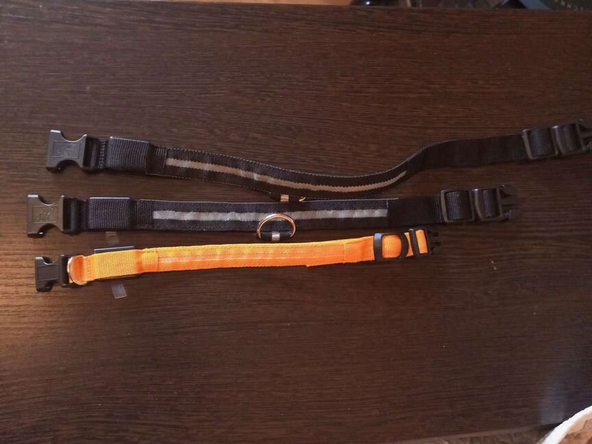 Ошейники с подсветкой