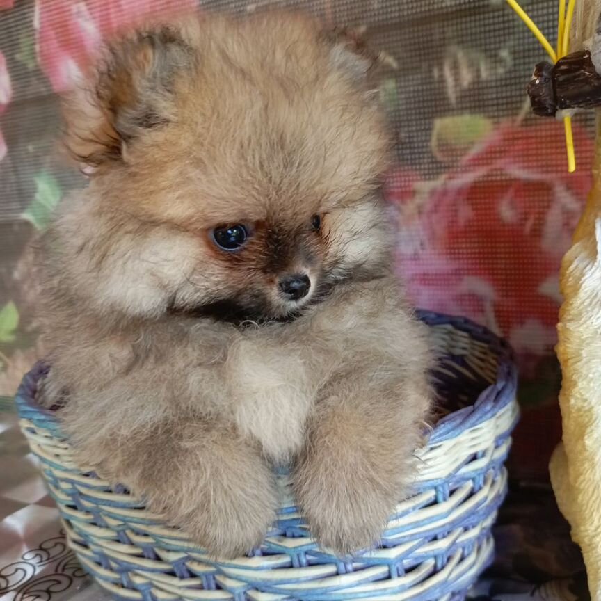 Игрушка домик