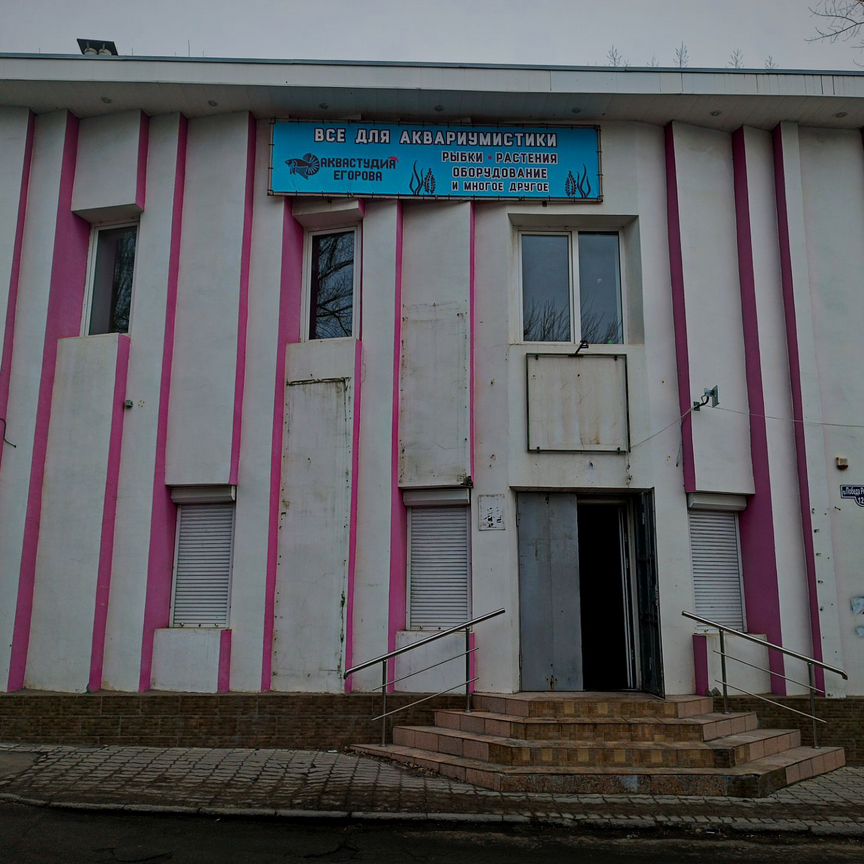 Аквастудия Егорова