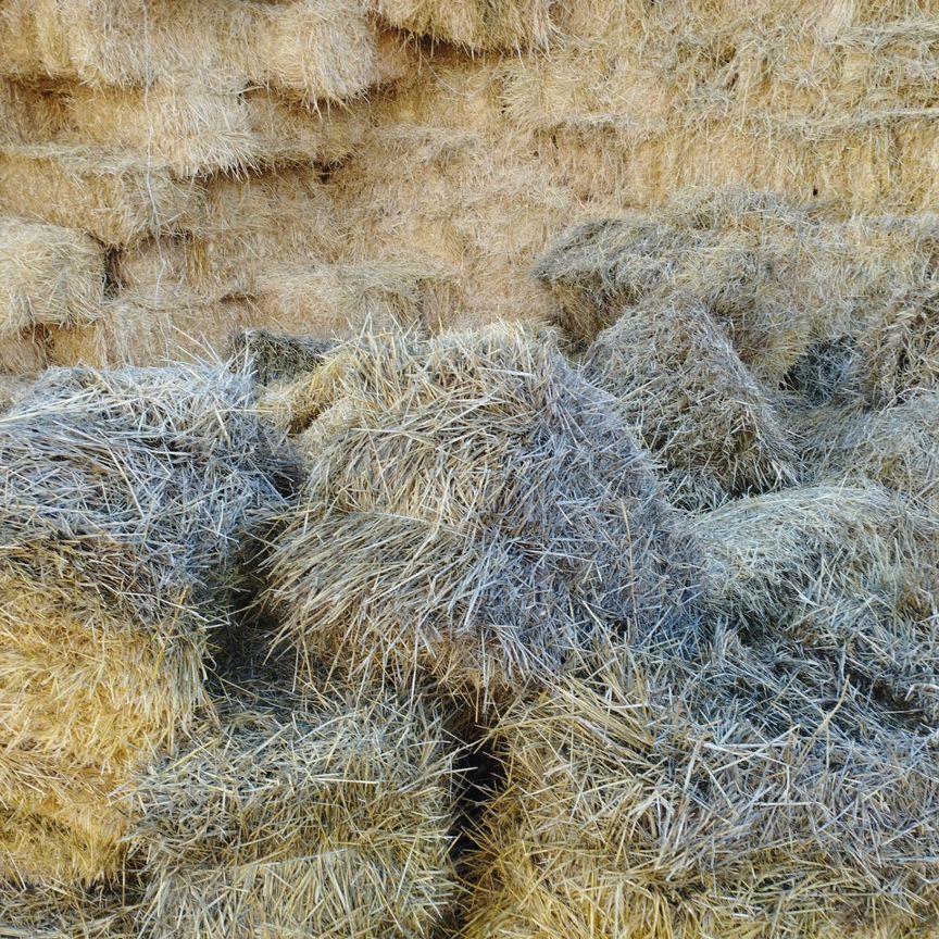 Солома в тюках