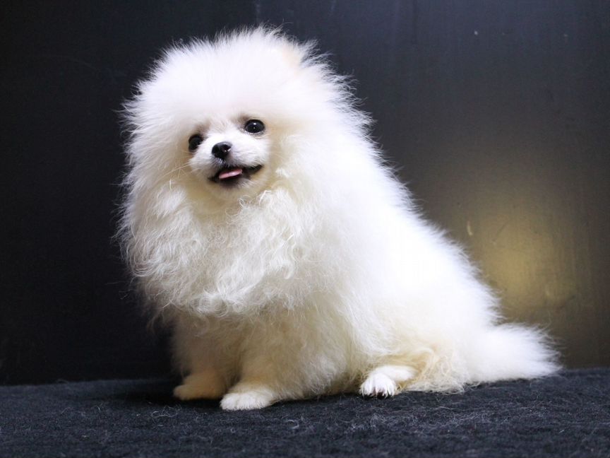 Красотка Марго