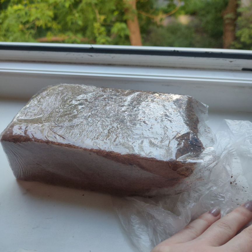 Кокосовый субстрат