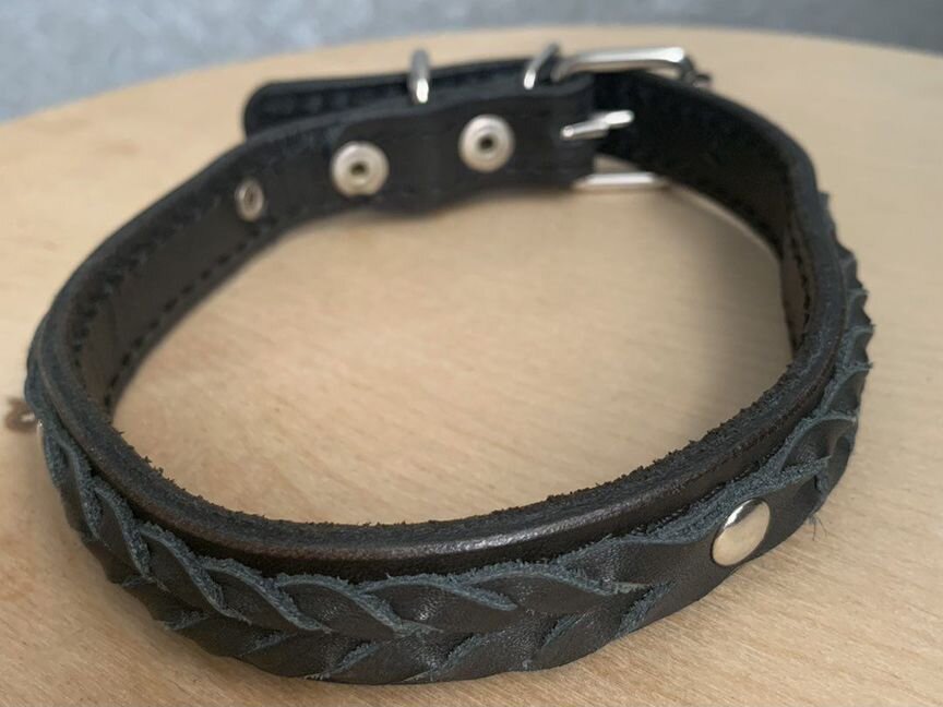 Ошейники для собак