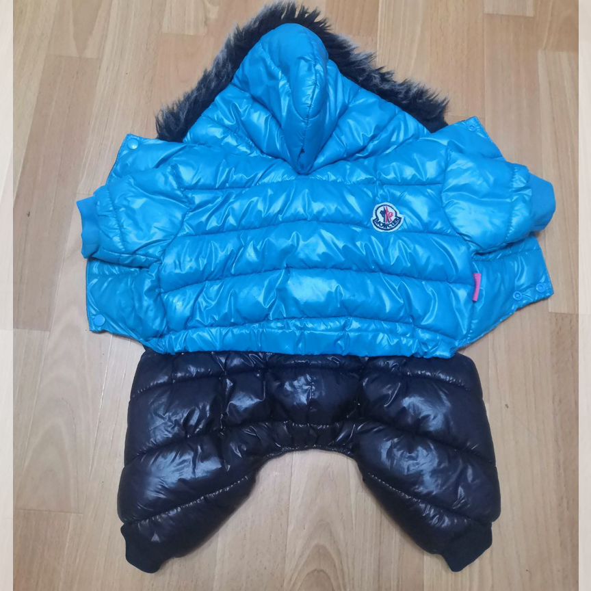 Одежда для маленьких собак бу