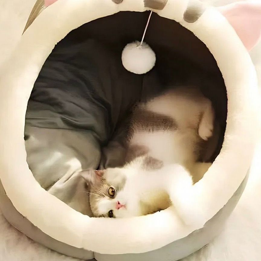 Домик для кошки