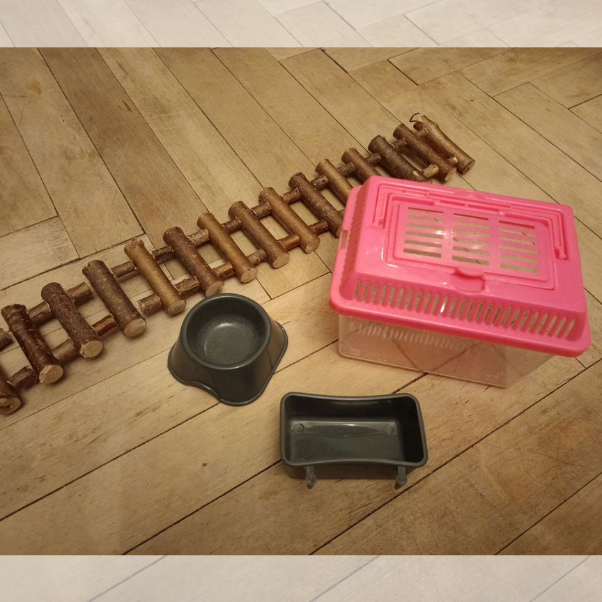 Переноска для грызуна кормушки и лесенка