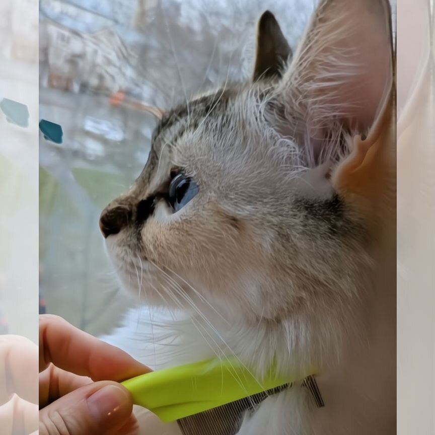 Расческа для кошек и собак