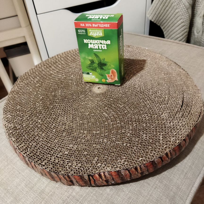 Когтеточка   кошачья мята