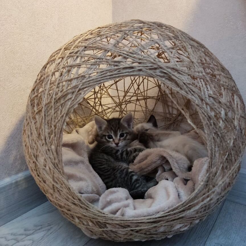 Домик для кошки шарик