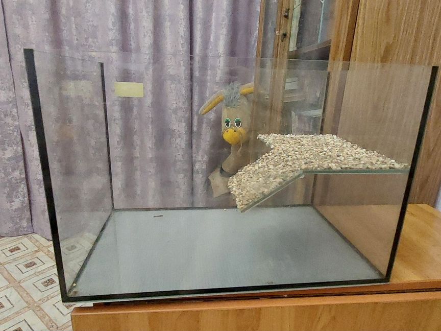 Черепашатник (аквариум для черепах)