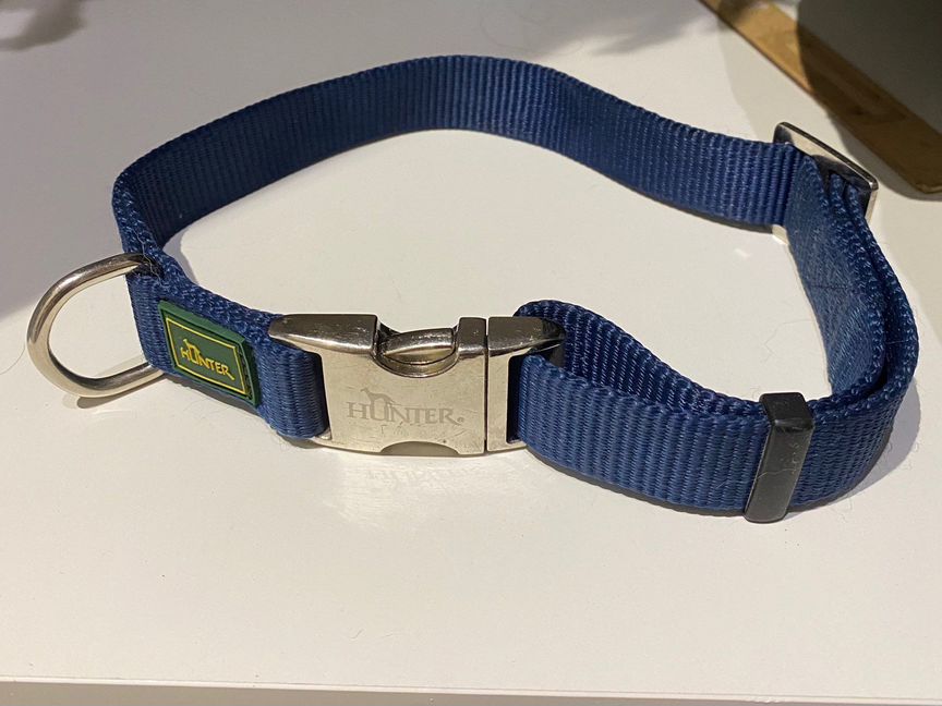 Ошейник для собак hunter синий