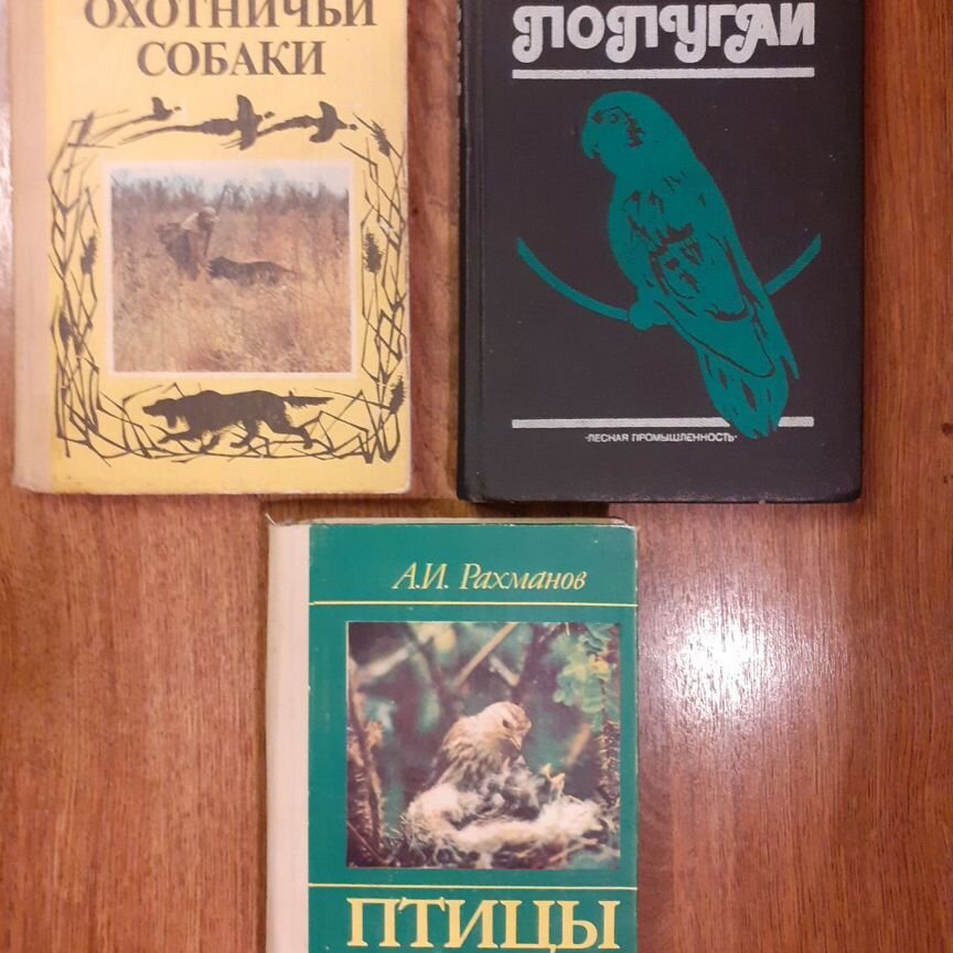 Охотничьи собаки, попугаи и другие птицы