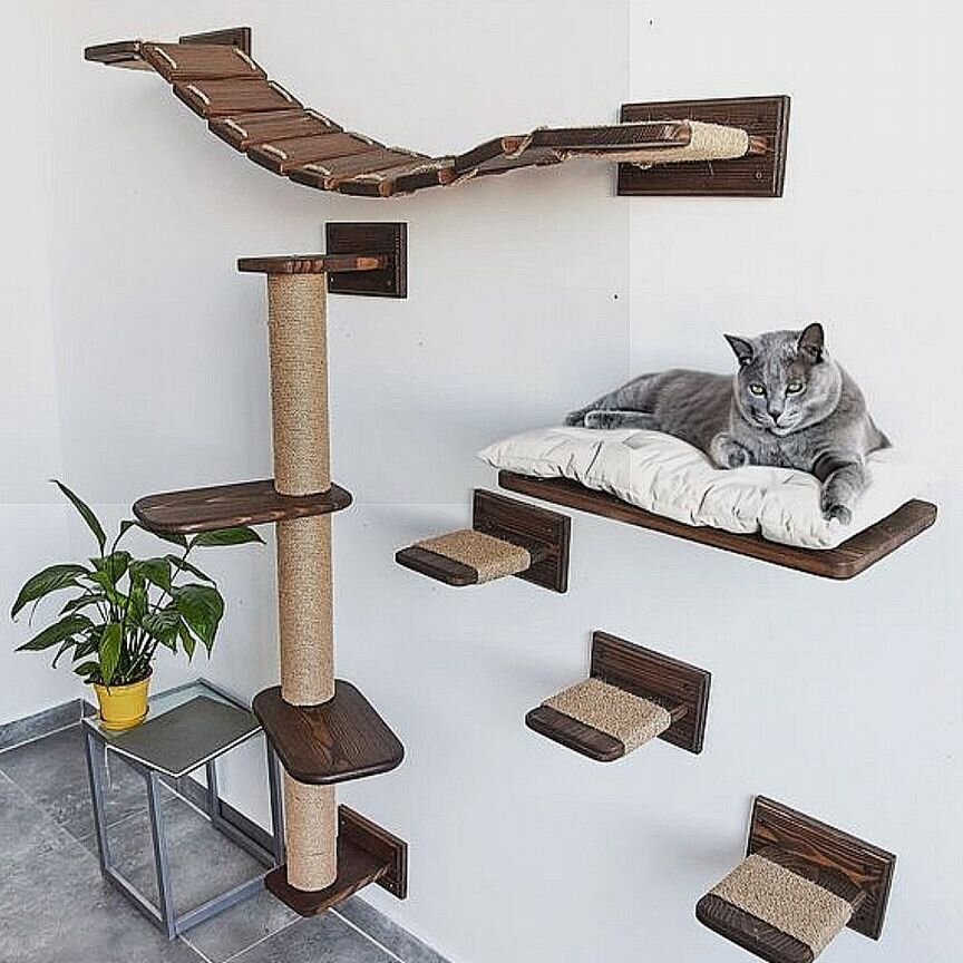 Игровые комплексы для кошек