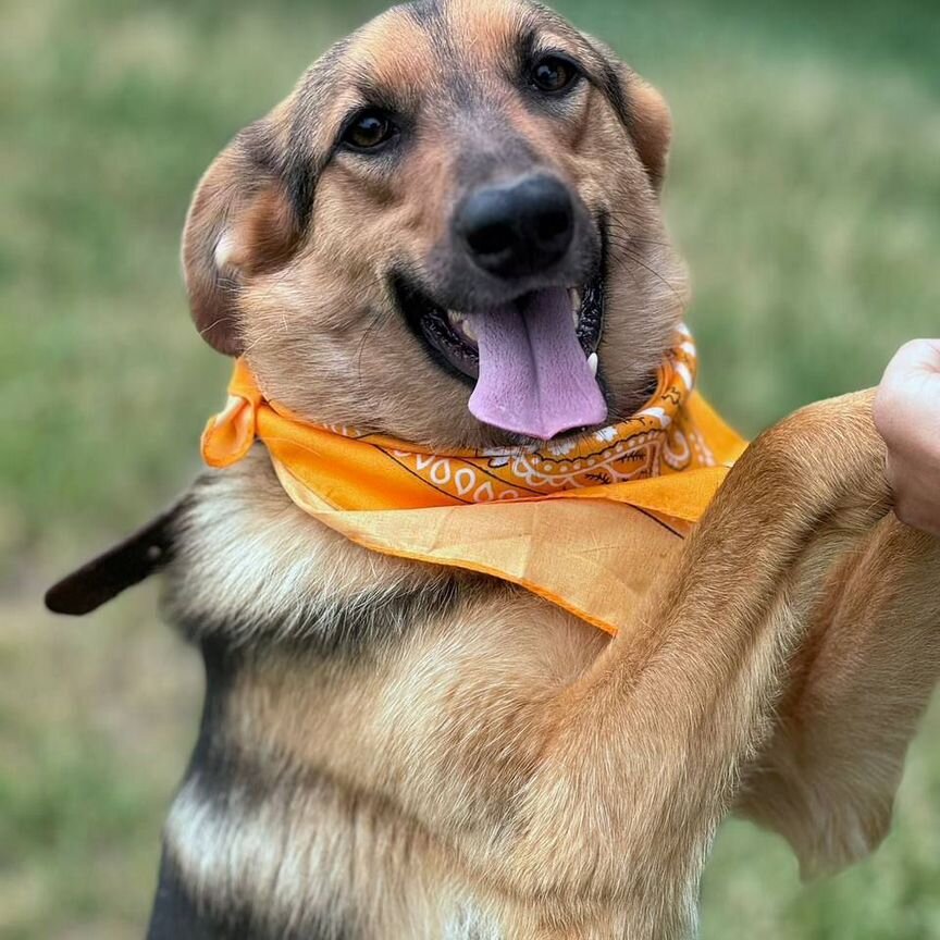 Флора, нежная девочка в поиске дома