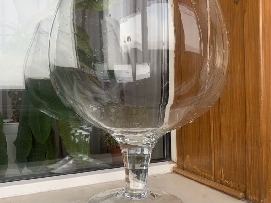 Аквариум-рюмка