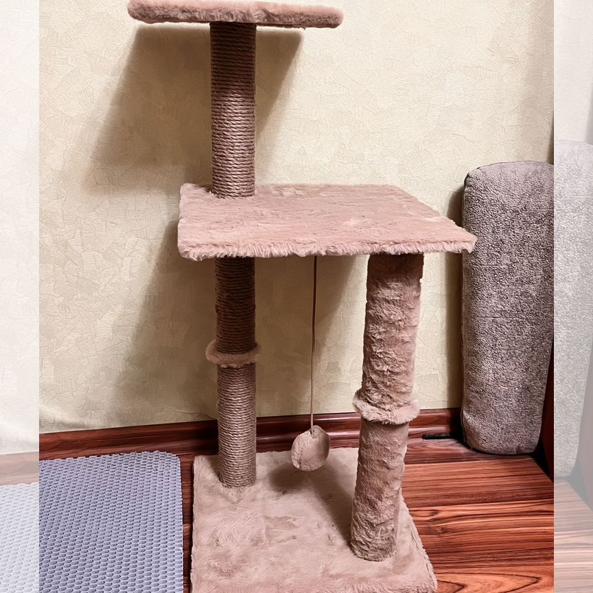 Когтеточка