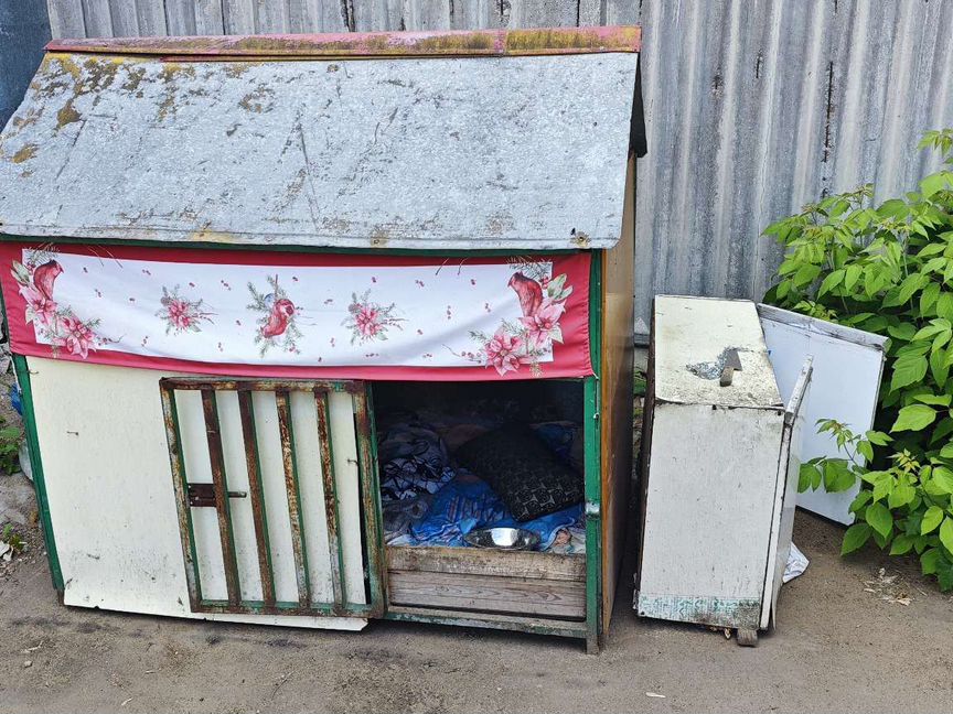 Будка вольер для собаки